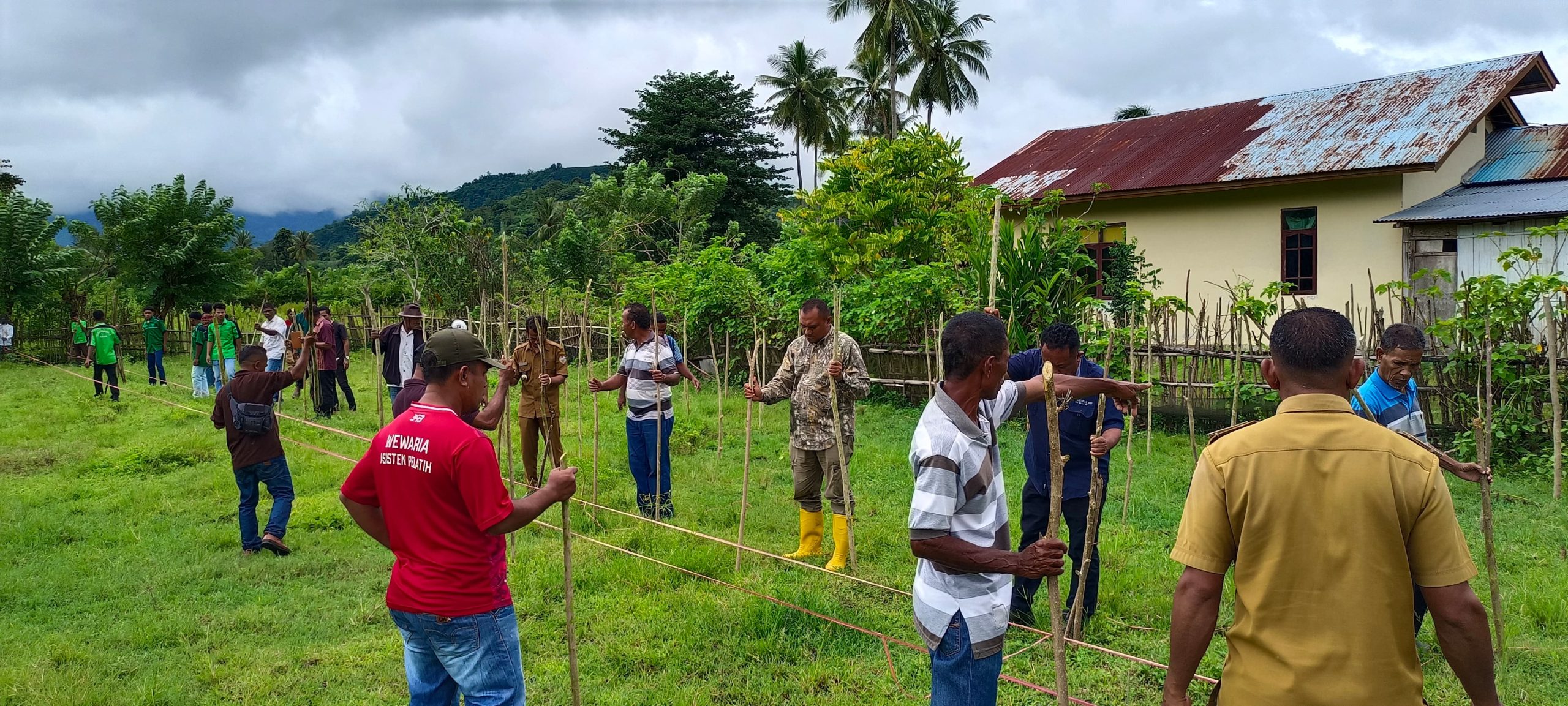 Angelo Inisiasi Penanaman Perdana Kayu Gamal untuk Produksi Biomassa di ...