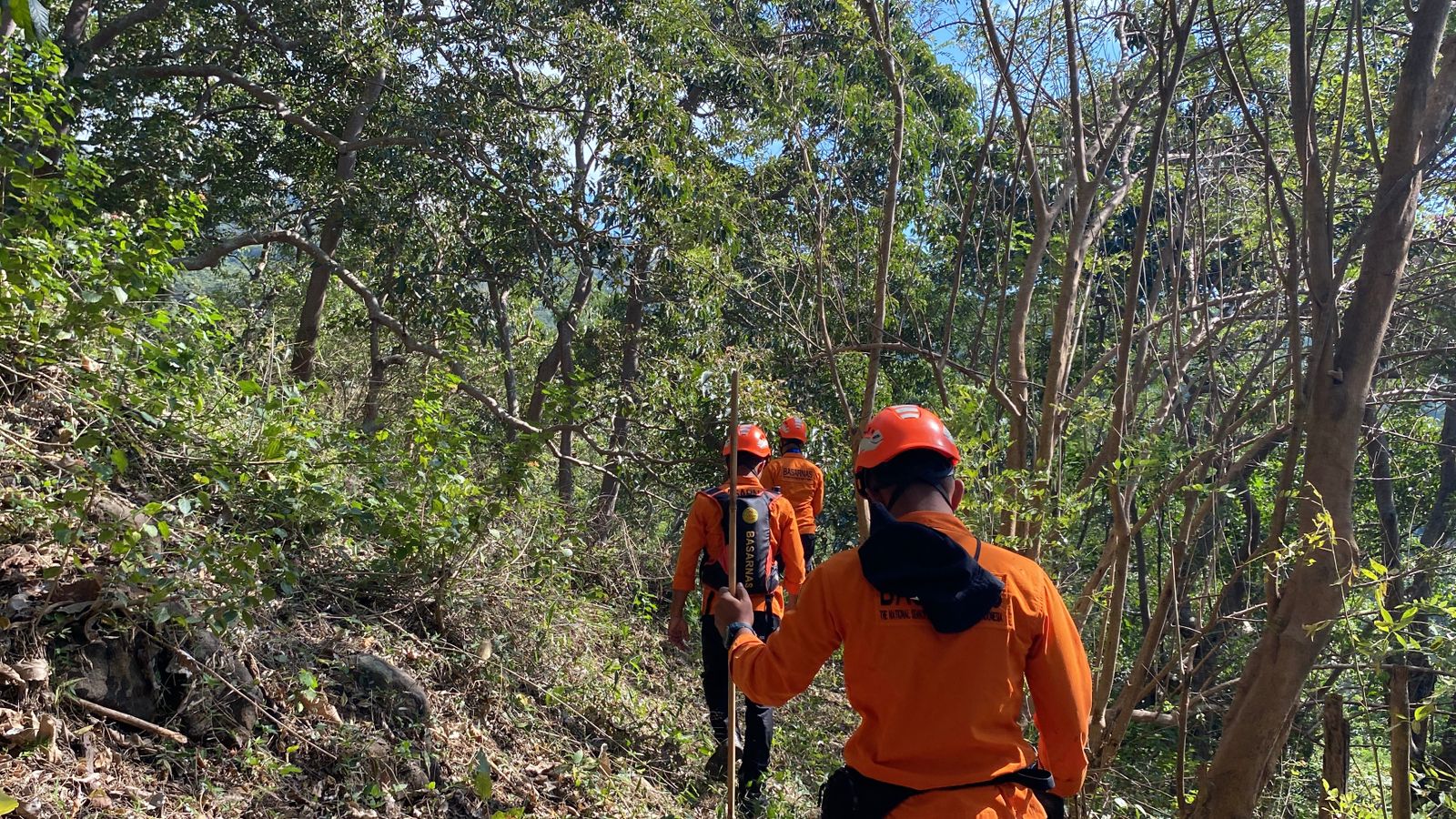 Nenek Tomasine Belum Kembali Sejak Cari Kayu, Tim SAR Kerahkan Drone ...
